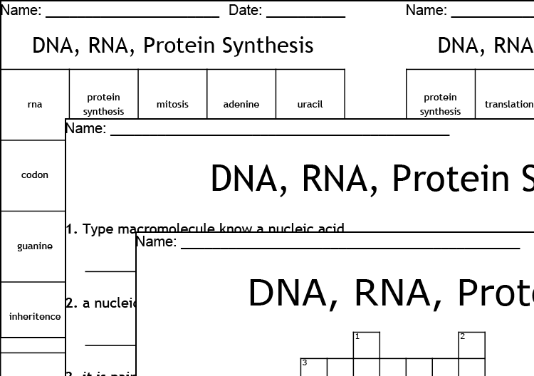 Word Search Maker - WordMint
